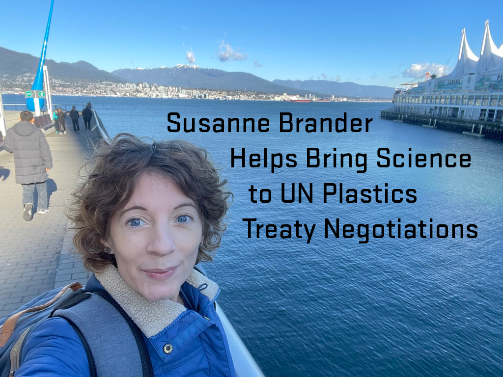 OSU’s Susanne Brander Helps Bring Science to UN Plastics Treaty ...